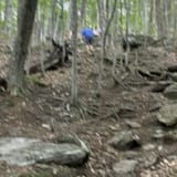 Barnes Camp Loop, Vermont - 456 Reviews, Map | AllTrails