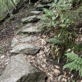 Barnes Camp Loop, Vermont - 456 Reviews, Map | AllTrails