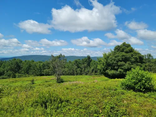 10 Best Hikes and Trails in Mount Greylock State Reservation | AllTrails
