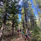Mt Defiance via Warren Lake Trailhead, Oregon - 50 Reviews, Map | AllTrails
