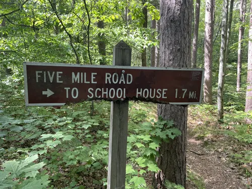 2023 Best Wild Flowers Trails In Bitely Alltrails