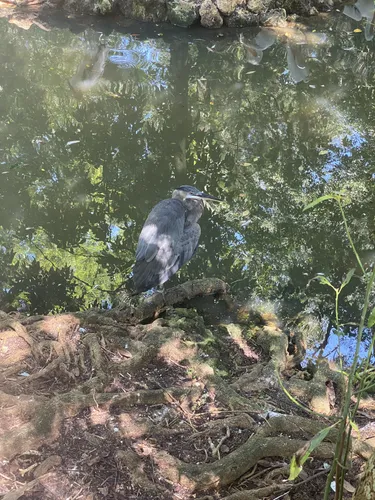 Best Hikes and Trails in Ellie Schiller Homosassa Springs Wildlife ...