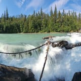 Rearguard Falls Trail, British Columbia, Canada - 220 Reviews, Map ...