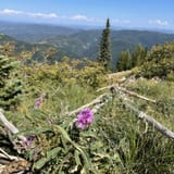 Chilco Mountain Trail, Idaho - 648 Reviews, Map | AllTrails