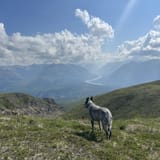 Gunsight Mountain, Alaska - 94 Reviews, Map | AllTrails