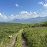 Gunsight Mountain, Alaska - 94 Reviews, Map | AllTrails