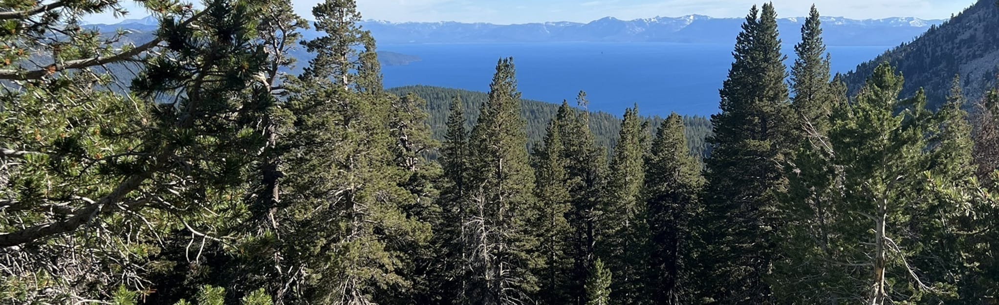 Relay Peak Trail: 1.151 foto - Nevada | AllTrails