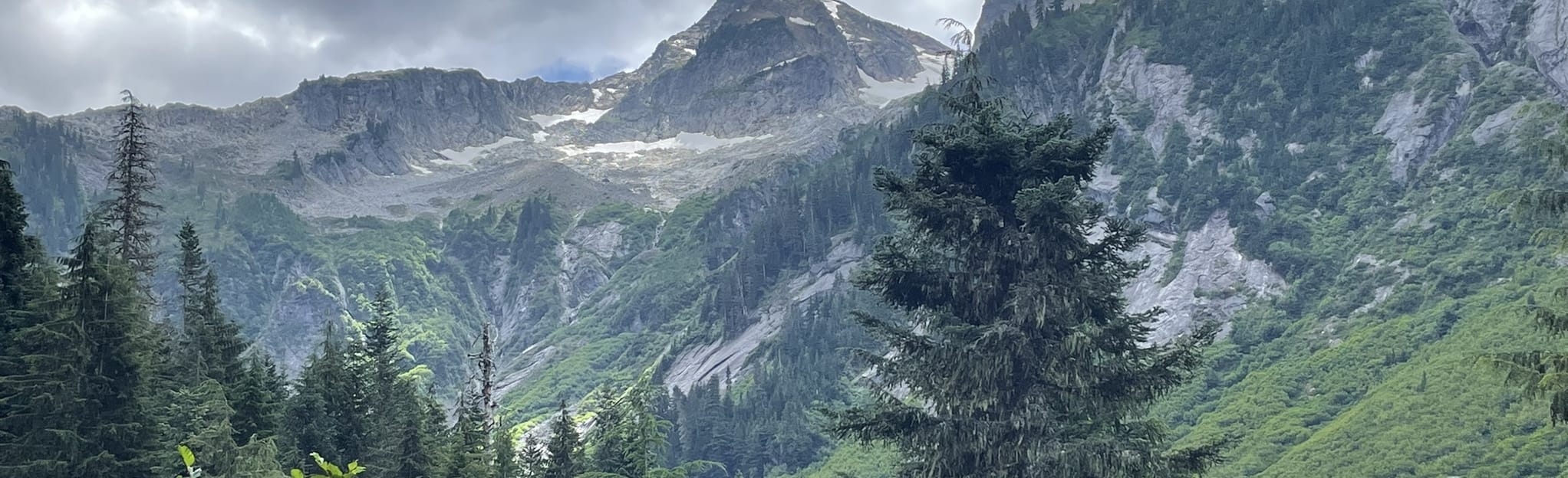 Copper Ridge Trail To Copper Lake: 55 Reviews, Map - Washington | AllTrails