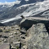 Mount Ruth via Glacier Basin and Emmons Moraine Trails, Washington - 70 ...