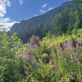 Century Sam Lake, British Columbia, Canada - 429 Reviews, Map | AllTrails