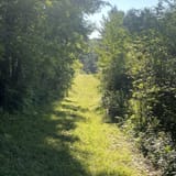 Ice Age Trail: Greenbrush Segment via Glenbeulah, Wisconsin - 369 ...