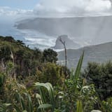 Mercer Bay Loop Track, Auckland, New Zealand - 473 Reviews, Map | AllTrails