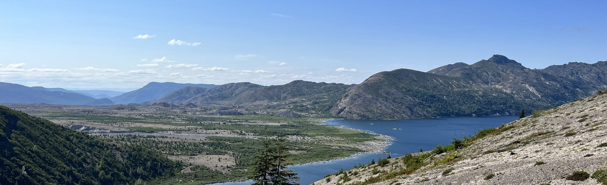 Windy Ridge and Plains of Abraham Loop : 633 foto - Washington | AllTrails