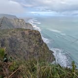 Mercer Bay Loop Track, Auckland, New Zealand - 473 Reviews, Map | AllTrails