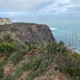 Mercer Bay Loop Track, Auckland, New Zealand - 473 Reviews, Map | AllTrails