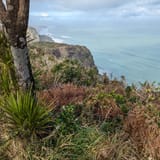 Mercer Bay Loop Track, Auckland, New Zealand - 473 Reviews, Map | AllTrails
