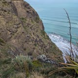 Mercer Bay Loop Track, Auckland, New Zealand - 473 Reviews, Map | AllTrails
