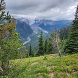 Silver Forest Trail, Washington - 417 Reviews, Map | AllTrails