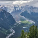 Silver Forest Trail, Washington - 417 Reviews, Map | AllTrails