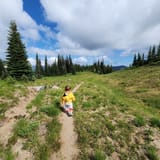 Silver Forest Trail, Washington - 417 Reviews, Map | AllTrails