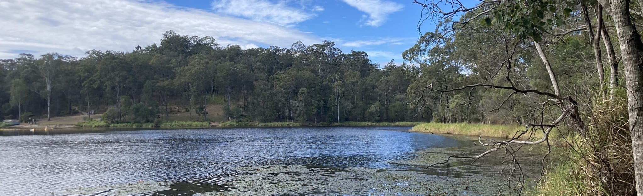 Mount Coot-tha to Enoggera Reservoir Loop: 104 Reviews, Map ...