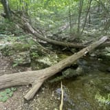 Three Ridges Trail, Virginia - 914 Reviews, Map | AllTrails