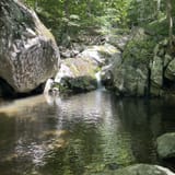 Three Ridges Trail, Virginia - 914 Reviews, Map | AllTrails