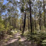 Doonan Creek Reserve Walk, Queensland, Australia - 41 Reviews, Map ...