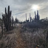 Jamanota Trail, Aruba, Aruba - 53 Reviews, Map | AllTrails