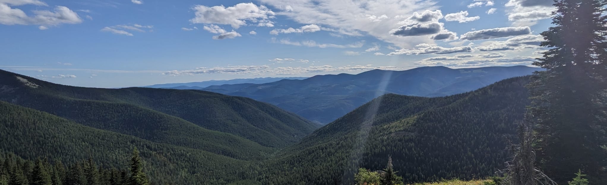 Old Glory Mountain via Old Glory Trail and Plewman Trail Loop: 39 ...