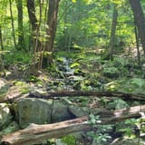 Whitney Spur Bikeway to Wompatuck Bikeway, Massachusetts - 471 Reviews ...