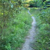 Whitney Spur Bikeway to Wompatuck Bikeway, Massachusetts - 471 Reviews ...