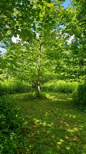 Best Hikes and Trails in Bushy Run Battlefield | AllTrails