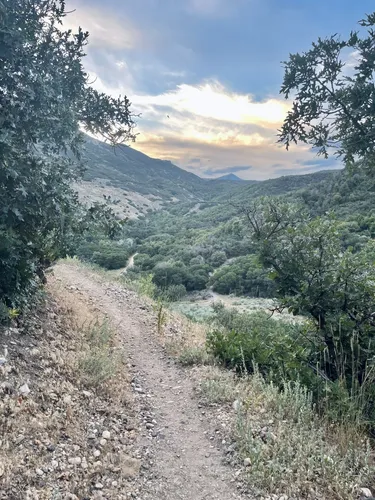 Best 10 Hikes and Trails in Corner Canyon Regional Park | AllTrails
