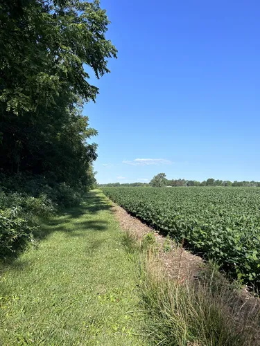 Best Hikes and Trails in Bradner Preserve | AllTrails