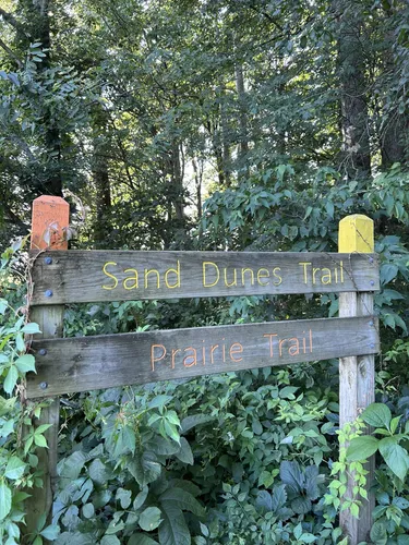 Best Hikes and Trails in Bradner Preserve | AllTrails