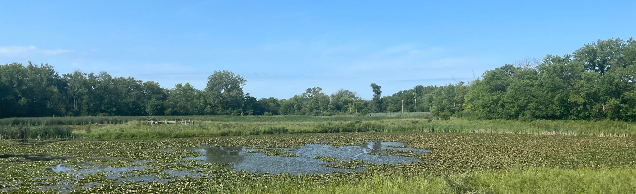 Monee Reservoir , Illinois - 121 Reviews, Map | AllTrails