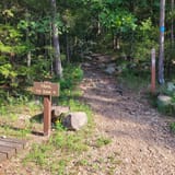 Silver Mine Trail, Missouri - 192 Reviews, Map | AllTrails