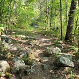 Silver Mine Trail, Missouri - 254 Reviews, Map | AllTrails