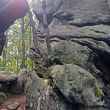 Jakes Rock Overlook, Pennsylvania - 186 Reviews, Map | AllTrails