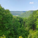Jakes Rock Overlook, Pennsylvania - 186 Reviews, Map | AllTrails
