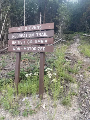 Best Hikes and Trails in Wasa Lake | AllTrails