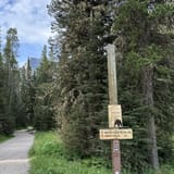 Grotto Falls Trail, Montana - 688 Reviews, Map | AllTrails