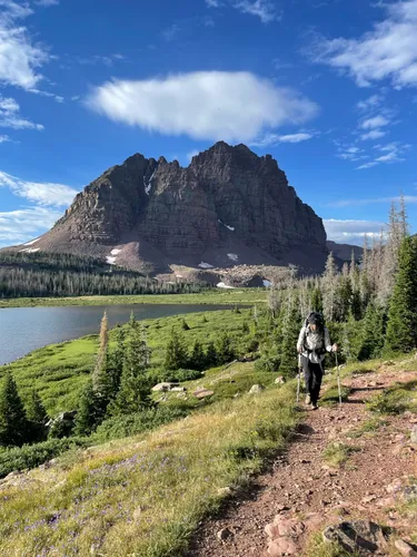 2023 Best Views Trails in Altamont | AllTrails