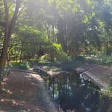 Winding River Park Trail, New Jersey - 579 Reviews, Map | AllTrails