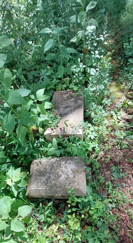 Best Hikes and Trails in Elza Gate Park | AllTrails