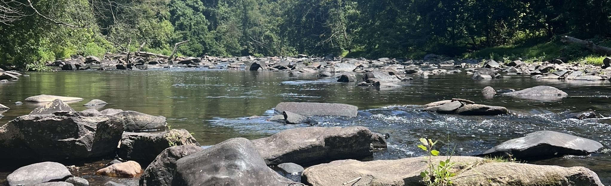 River Ridge Trail, Maryland - 130 Reviews, Map | AllTrails