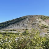 Windy Ridge Trail, Washington - 120 Reviews, Map | AllTrails