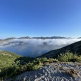 Windy Ridge Trail, Washington - 120 Reviews, Map | AllTrails