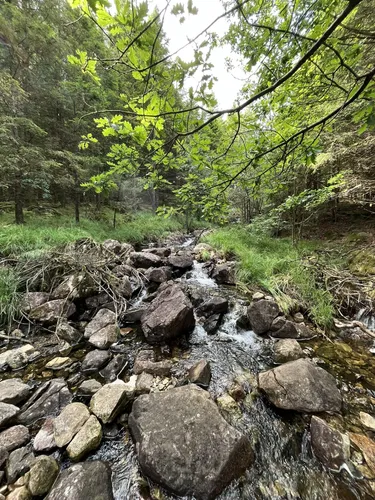 Best Hikes and Trails in Rabali naturreservat | AllTrails